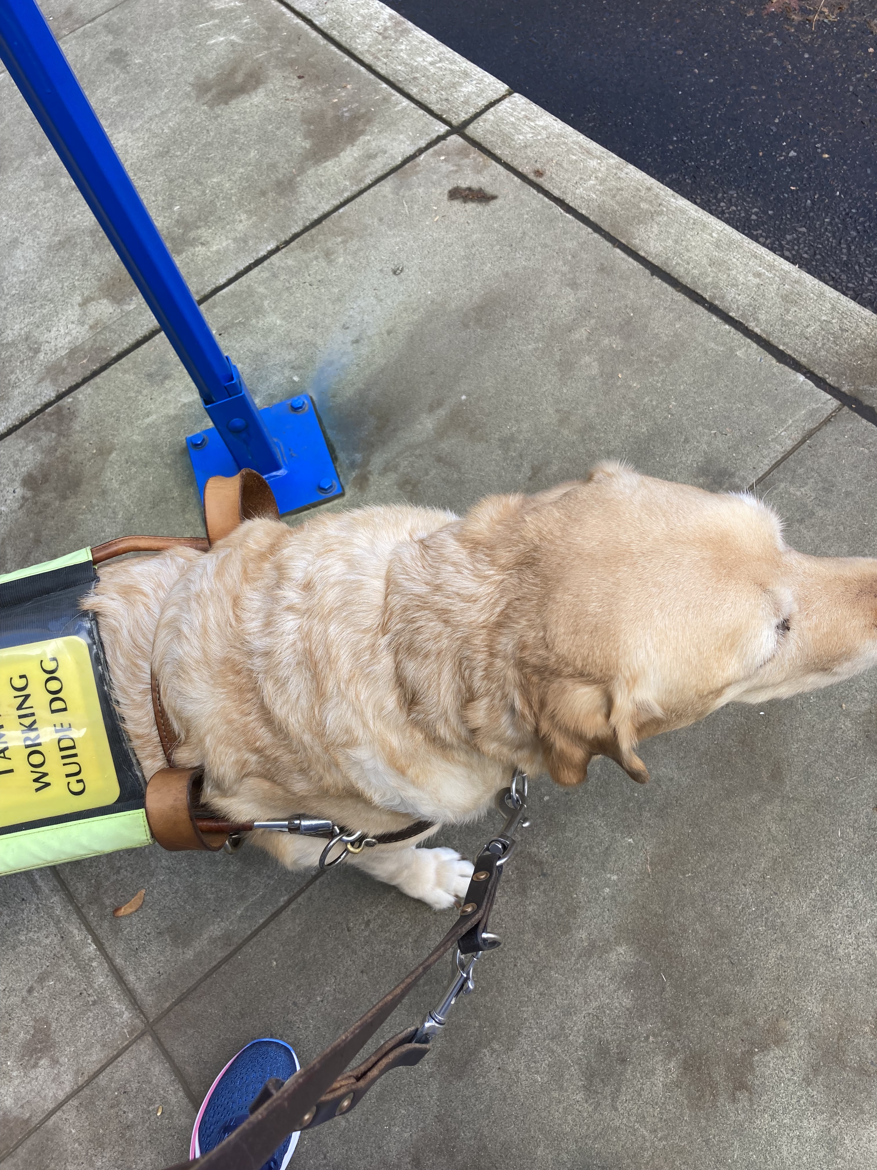 Writing Homework Series: Just a Quick Walk – Writebook
